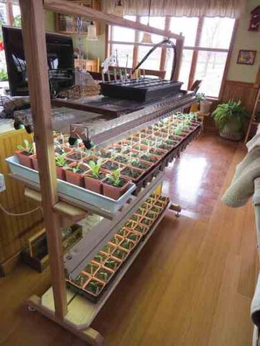 12 Easy DIY Seed Starting System Ideas – Mother Earth News